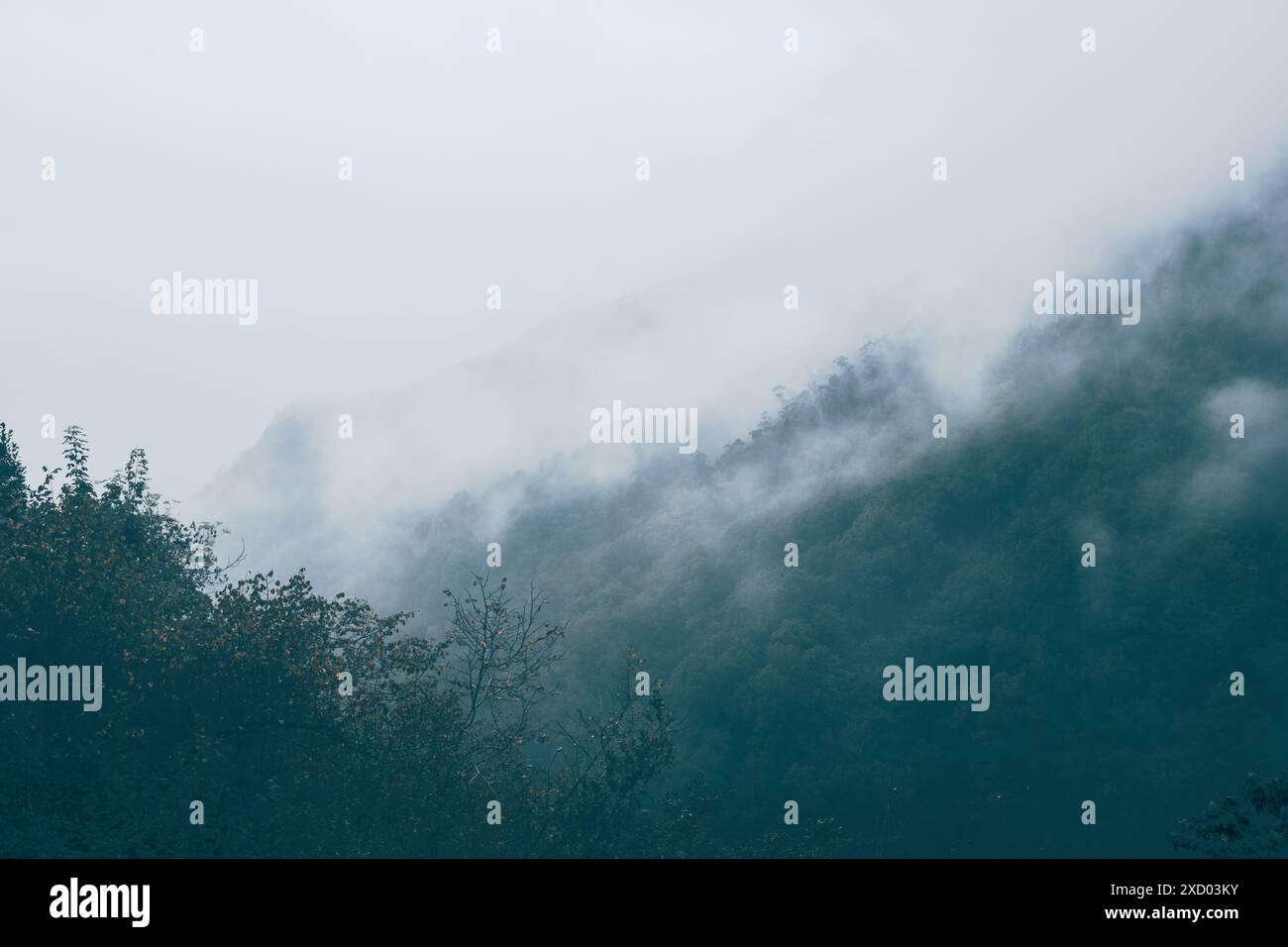Misty mountain landscape with dense forest and fog enveloping the peaks, creating a serene and ...