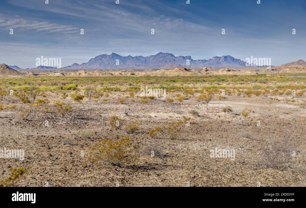 The arid desert landscape of the Big Bend National Park with the Chisos ...