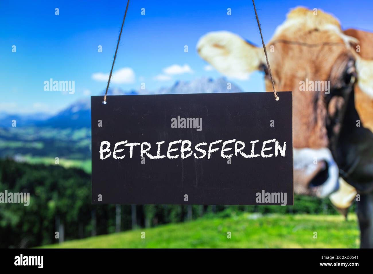 Symbolbild Betriebsferien: Schild mit der Aufschrift WIR SIND DANN MAL ...