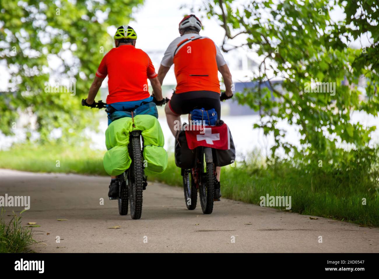 Tourists from Switzerland cycle along the Rhine Cycle Route, here in ...