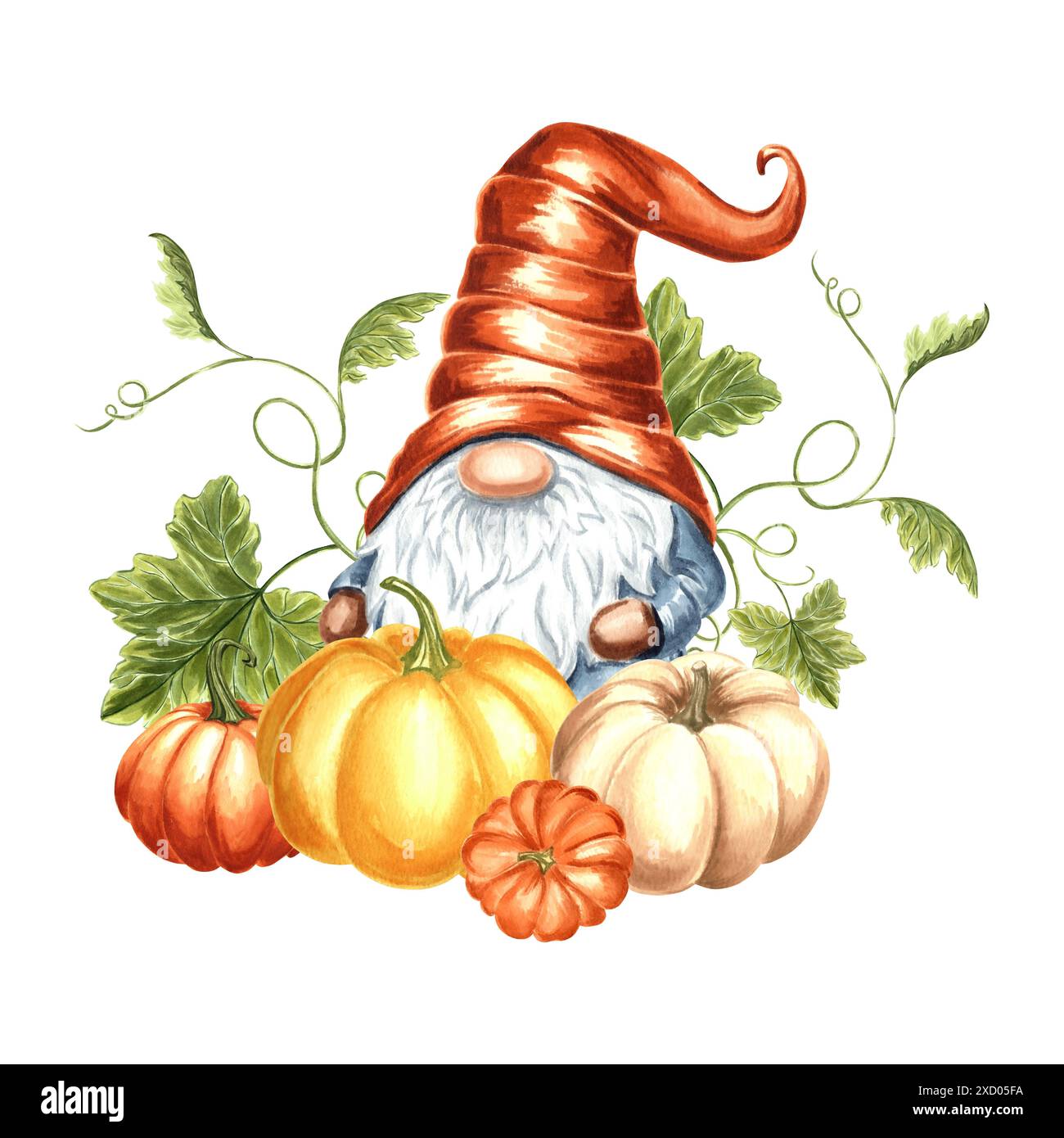 Fall Gnome with pumkins. Nordic magic dwarfs. Hand drawn watercolor ...