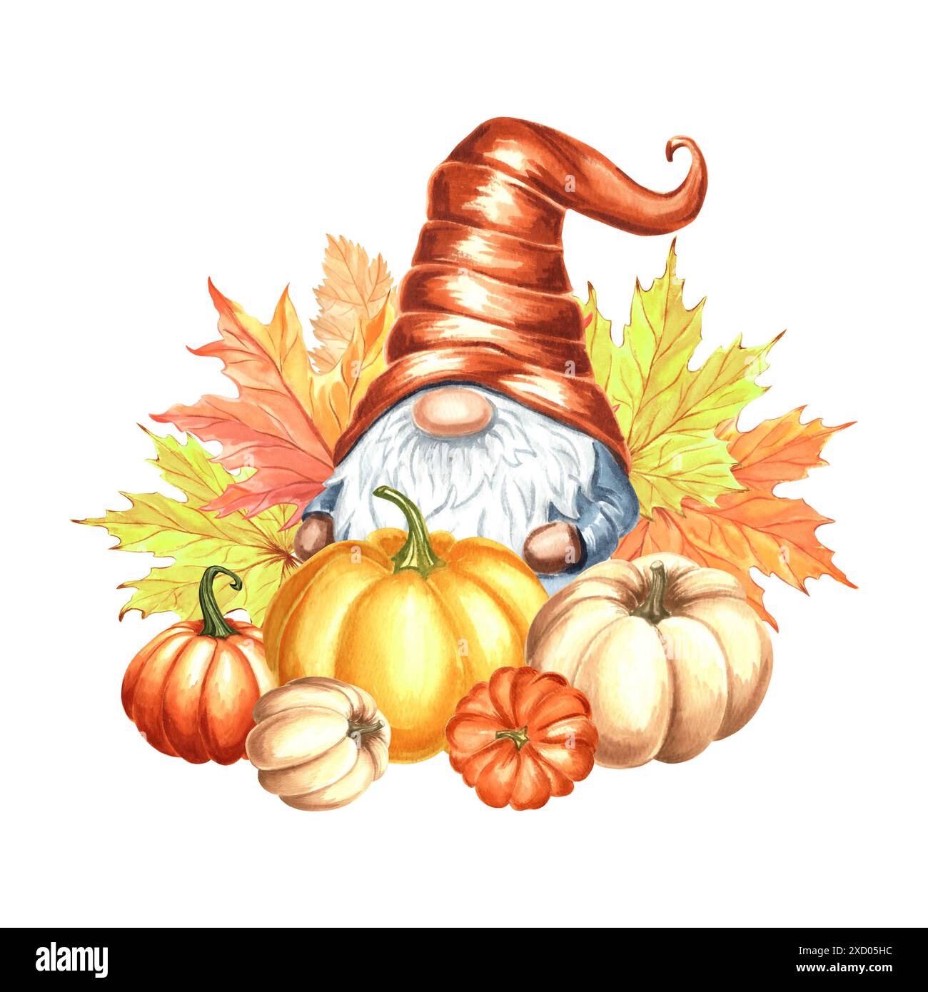 Gnome with pumpkins and maple leaves. Hand drawn watercolor ...