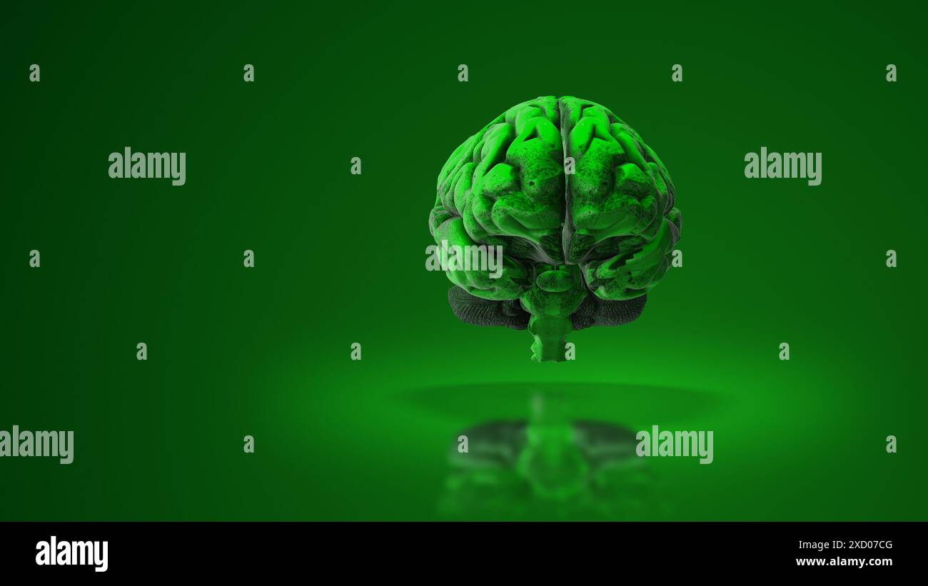 Human brain in 3D medical animation Stock Photo - Alamy