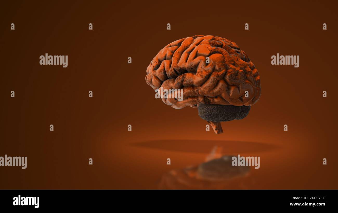 Human heart in 3D medical animation Stock Photo - Alamy