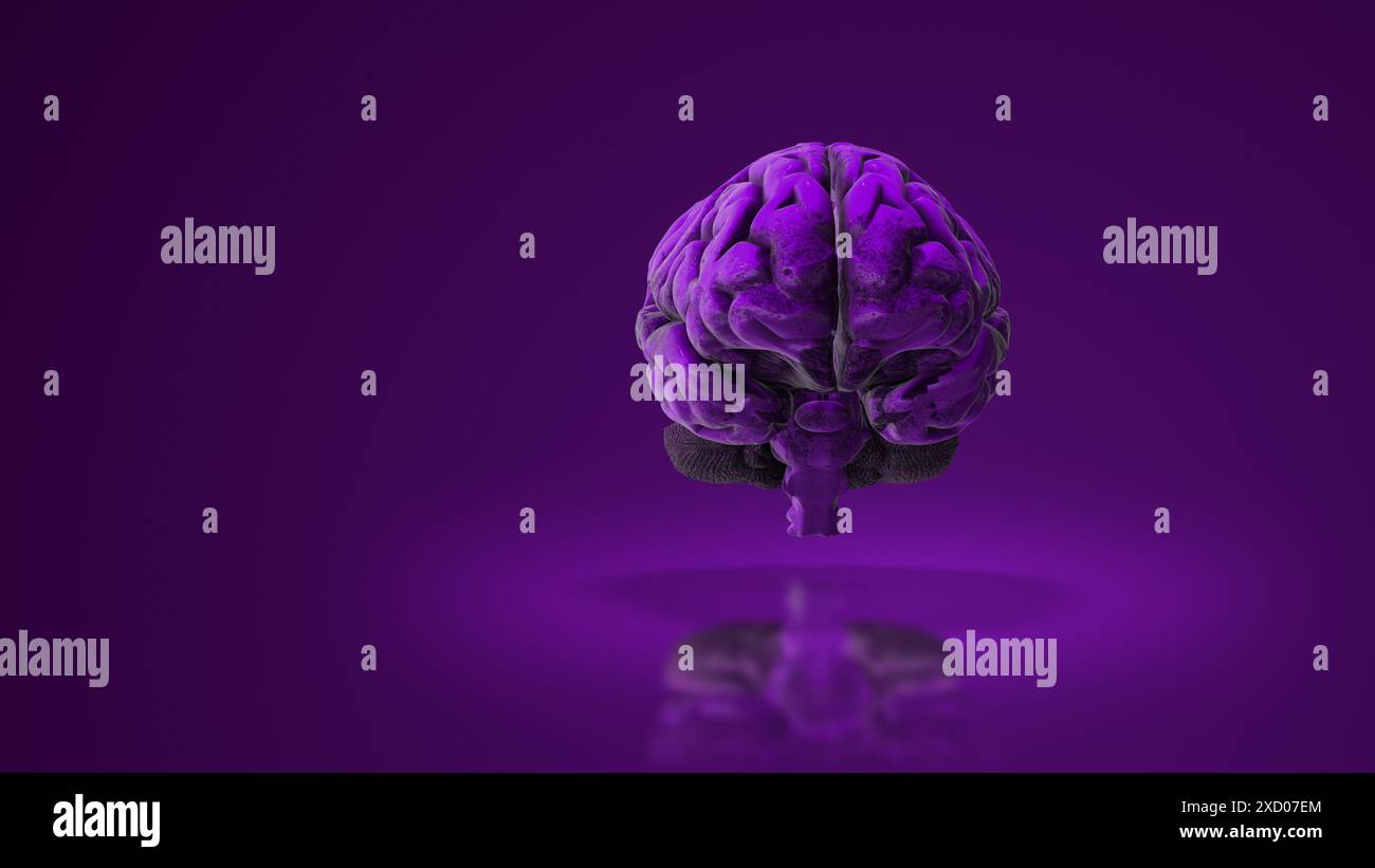 Human brain in 3D medical animation Stock Photo - Alamy