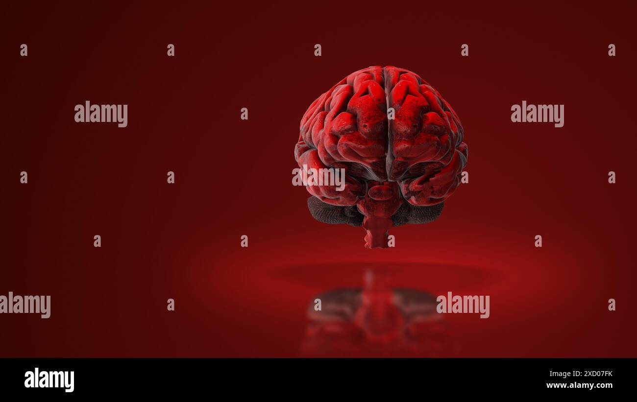 Human brain in 3D medical animation Stock Photo - Alamy