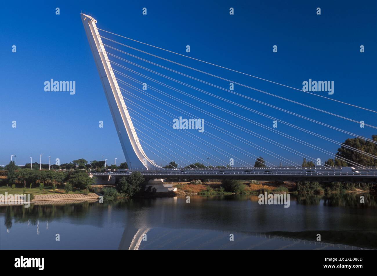 The Alamillo bridge crossing the Guadalquivir River, a cantilever spar ...