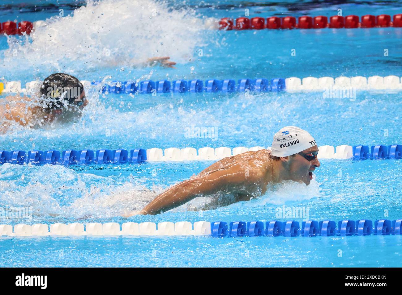 Indianapolis, Indiana, USA. 18th June, 2024. Luca Urlando swimming in ...