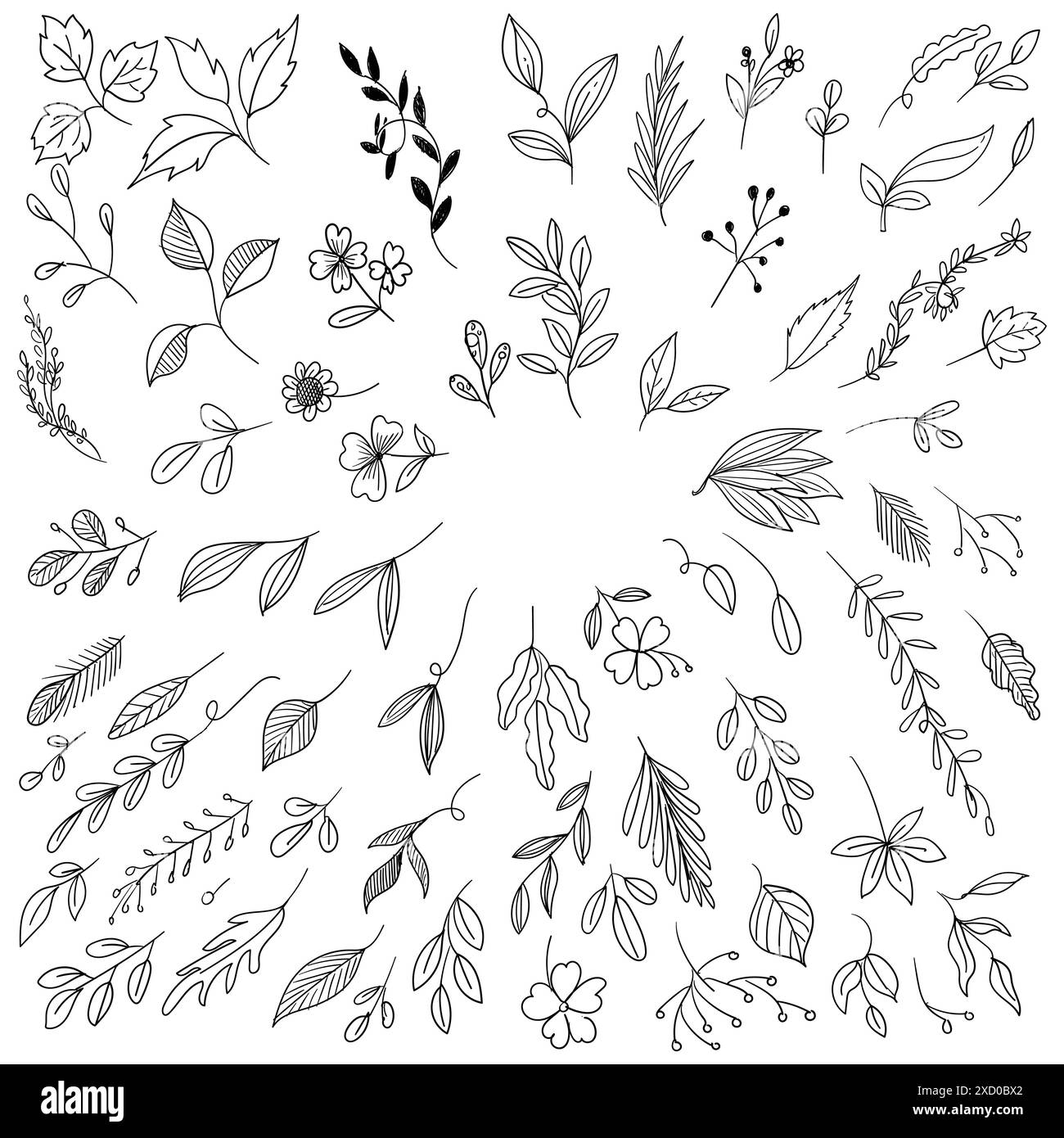 Hand draw floral leaf sketch set background Stock Vector Image & Art ...