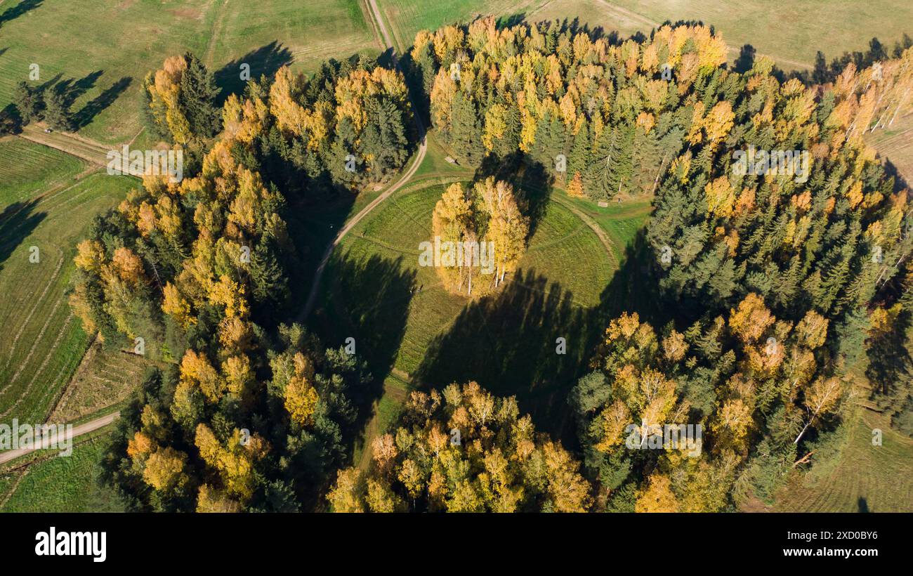 Aerial view of unique circular tree formation surrounded by open fields ...