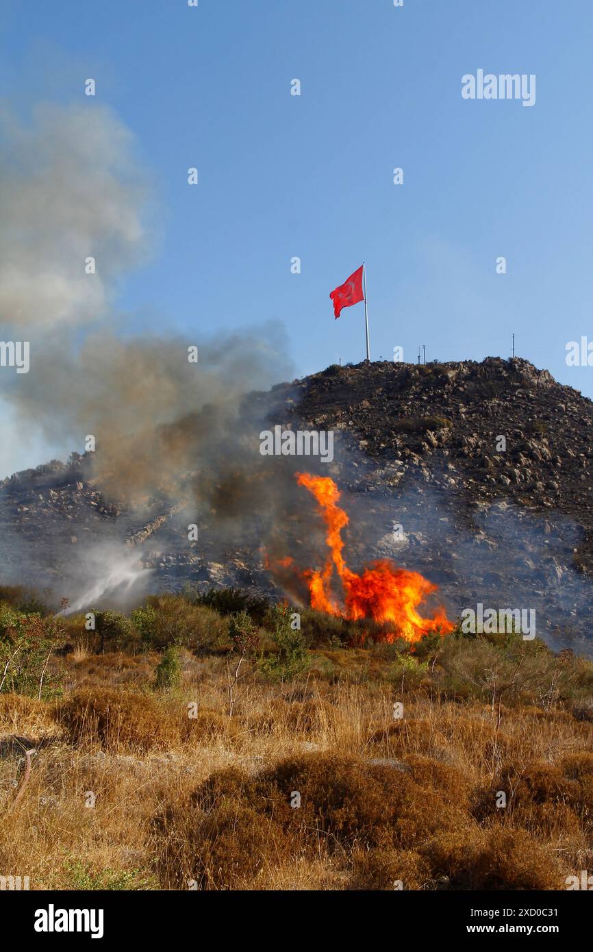 Red raging flame of fire burn in grass fields, forests and black and ...