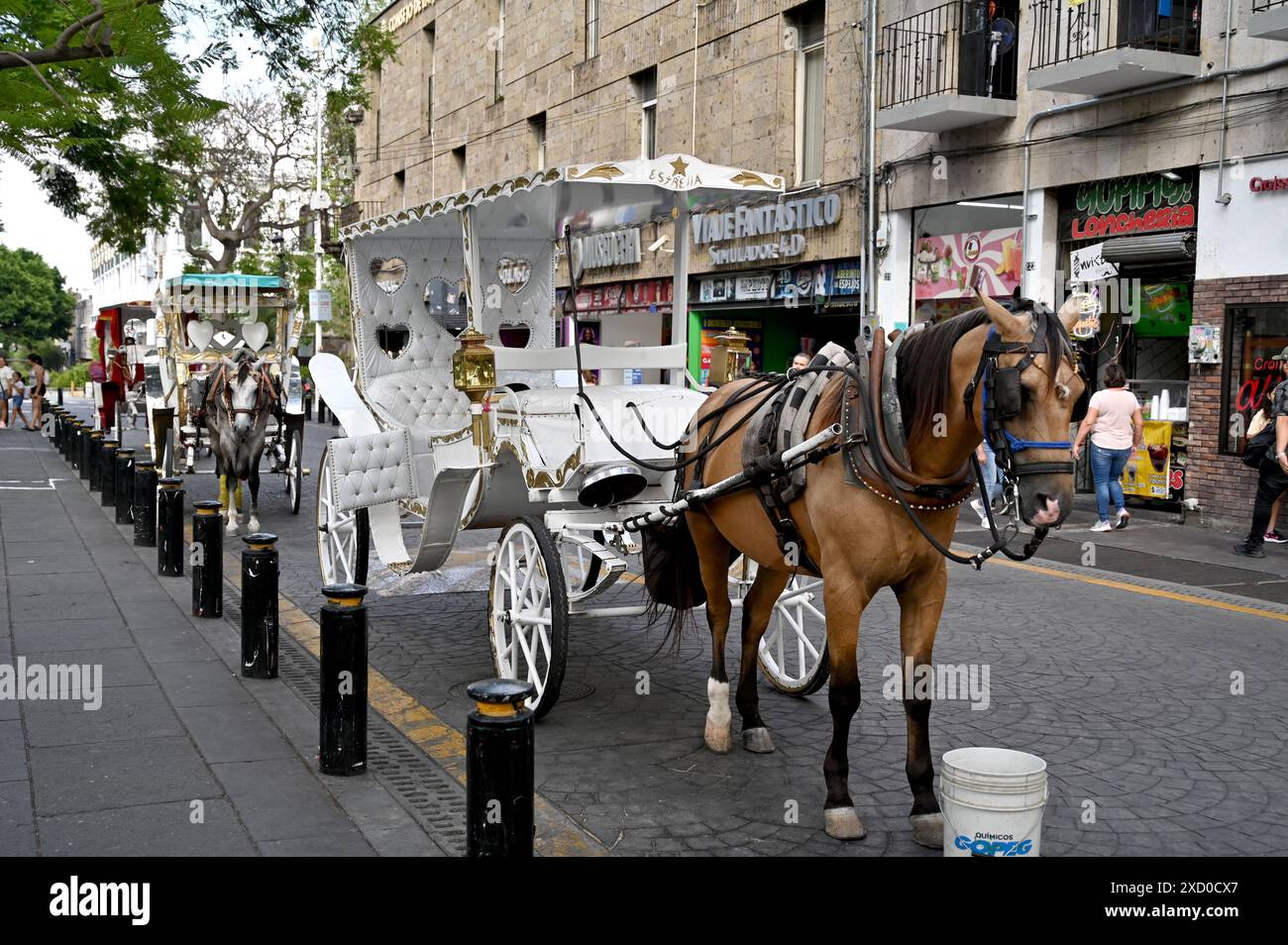 GUADALAJARA, JALISCO, MEXICO: Horse-drawn carriages are available for ...