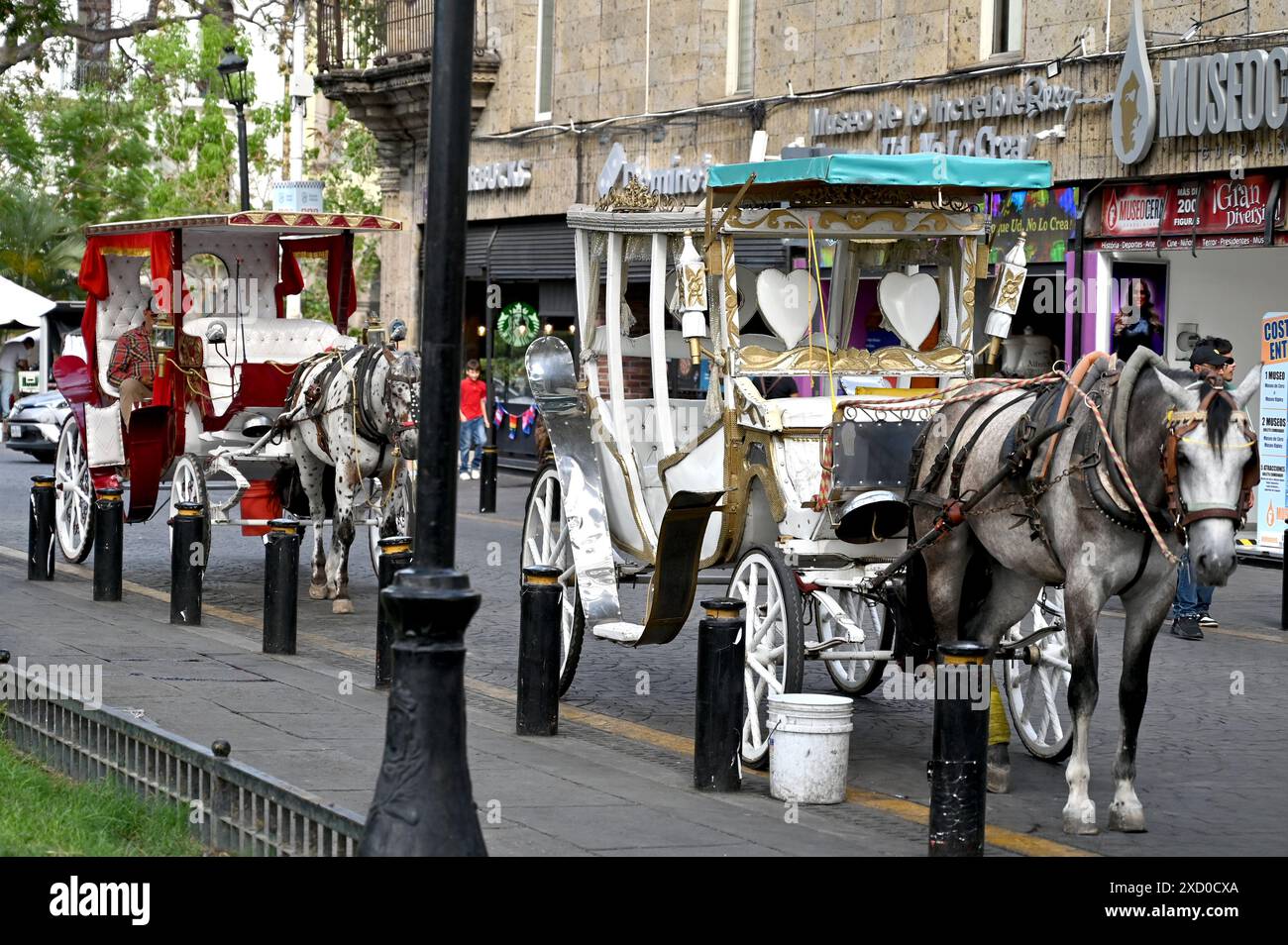 GUADALAJARA, JALISCO, MEXICO: Horse-drawn carriages are available for ...