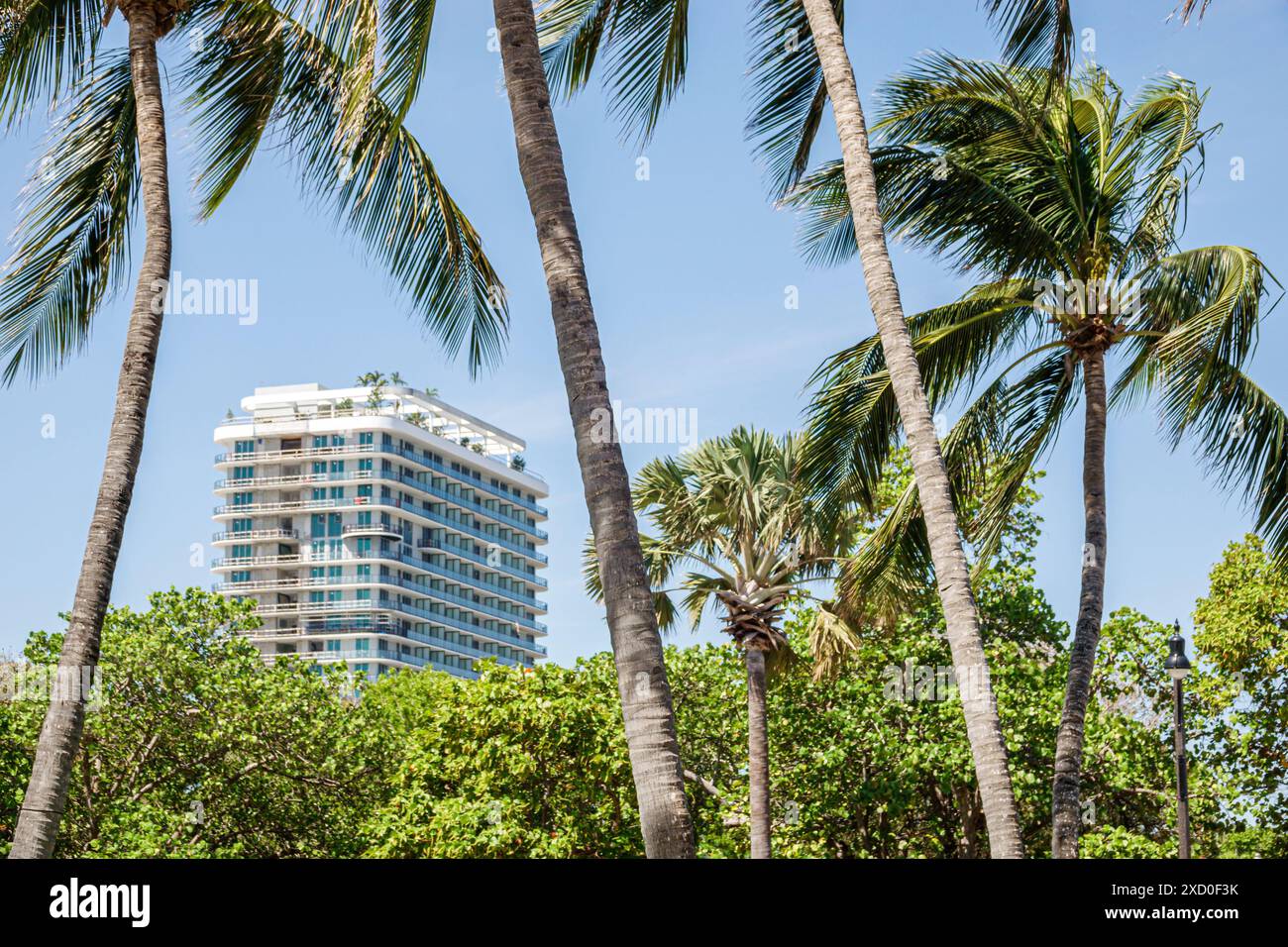 Miami Beach Florida,72 Park high rise condominium building,palm trees ...