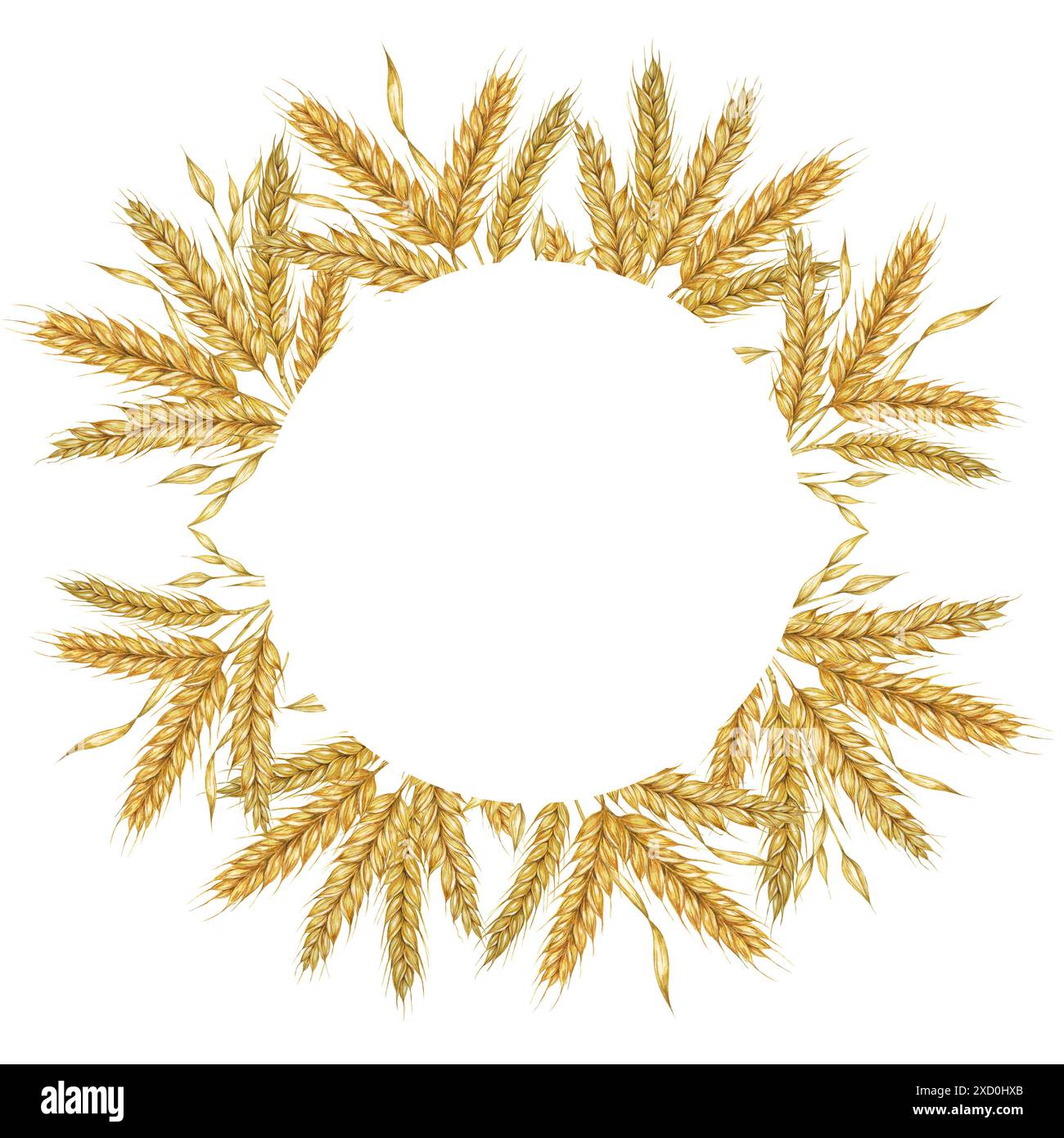 Wheat ears round frame. Barley stalks watercolor wreath for bread ...