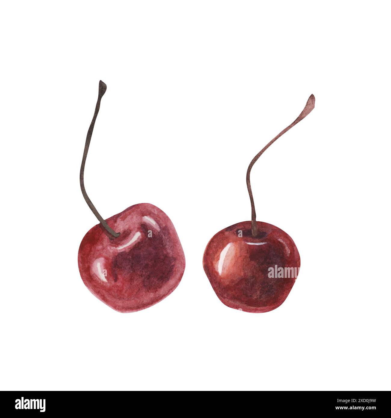 Red maraschino cherries. Watercolor red berries topping illustration ...
