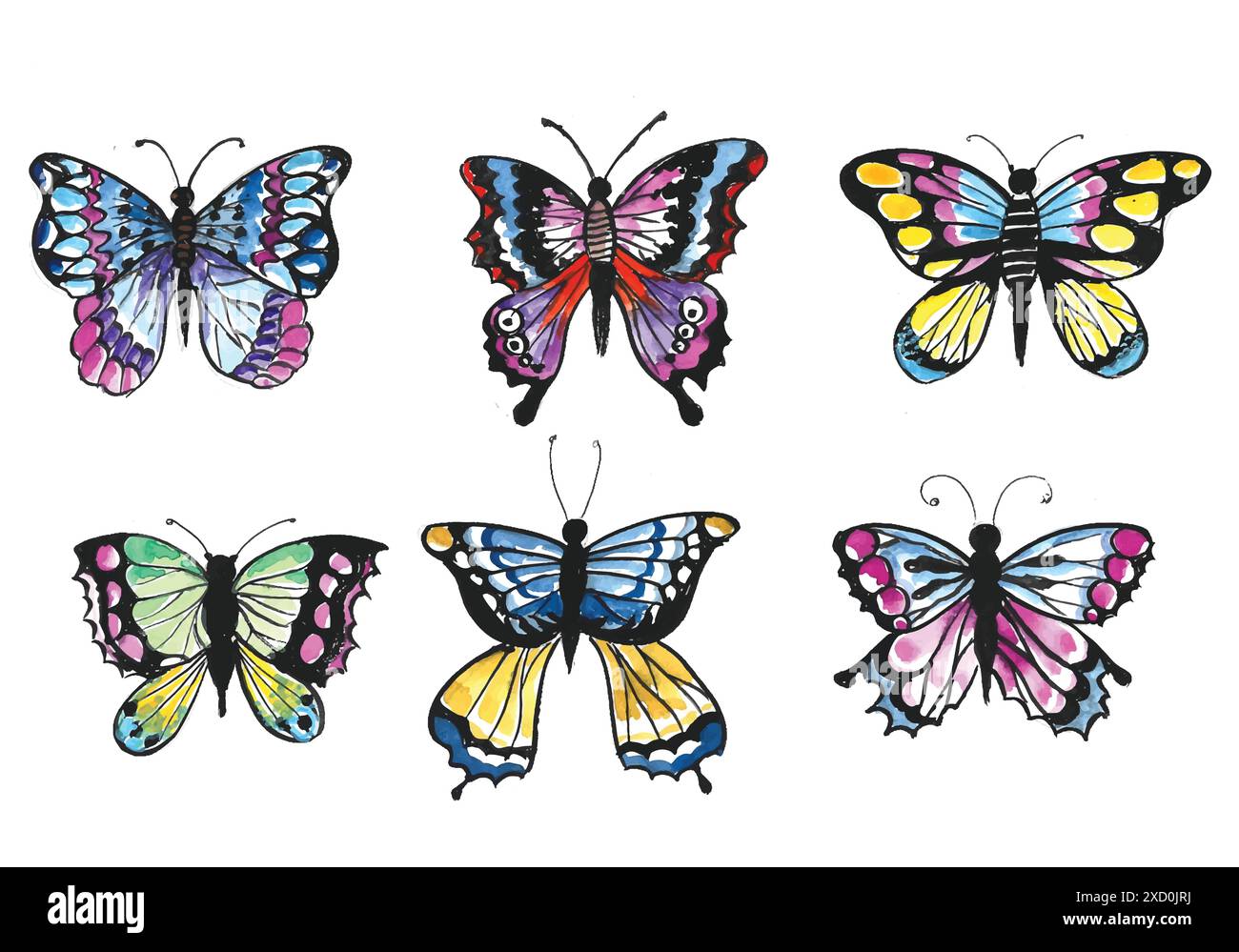 Hand draw collection of pretty colorful butterflies watercolor design ...