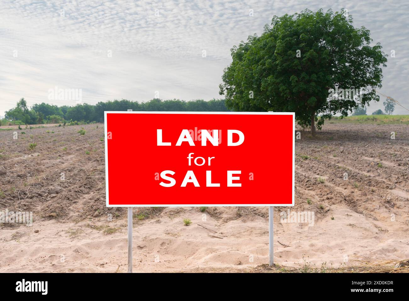 A red sign that says "land for sale" is on a dirt field. The sign is ...