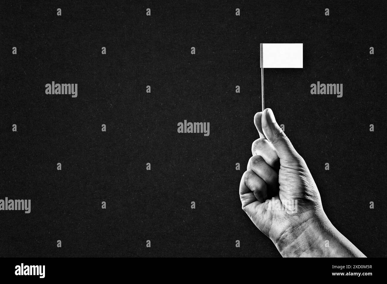 Hand holding flag hi-res stock photography and images - Alamy