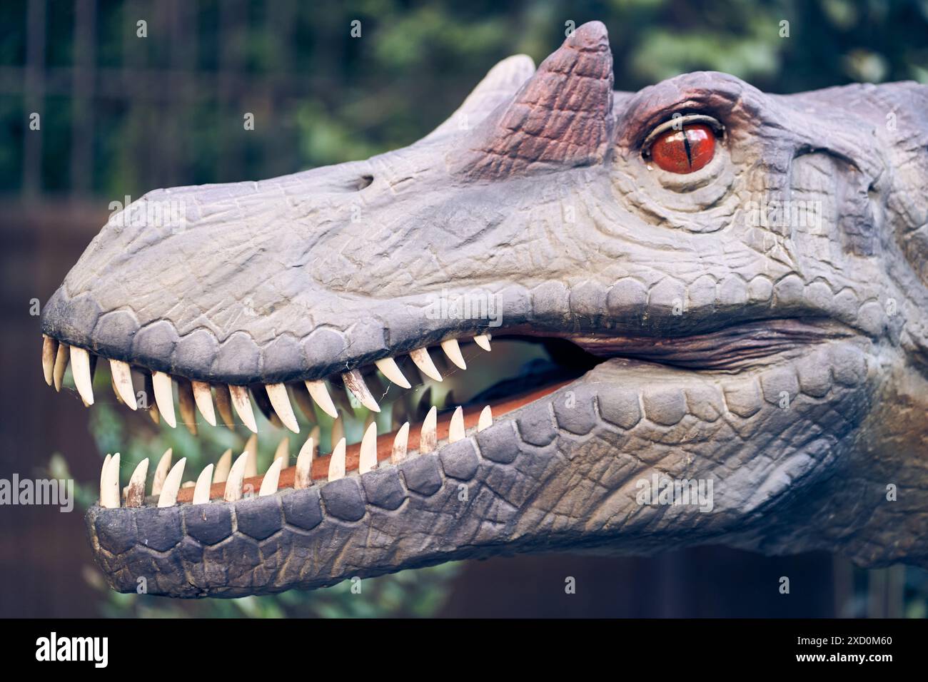 A close-up of the spinosaurus head, he was a fairly large animal. Horns ...