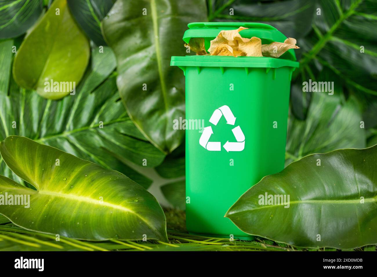 Green waste bin with recycling symbol standing among the natural lush ...