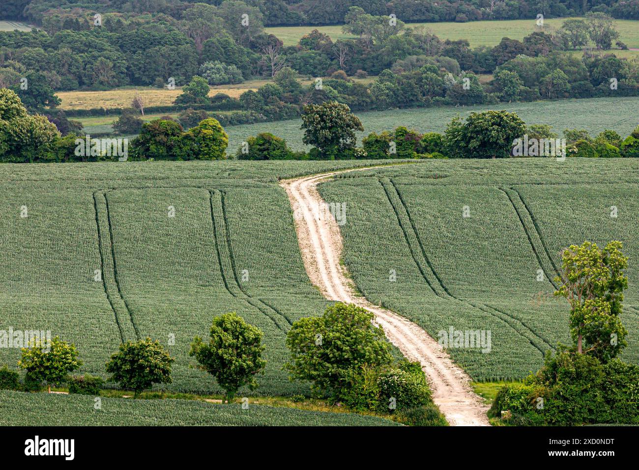A full frame photograph looking at a pathway running through farmland ...