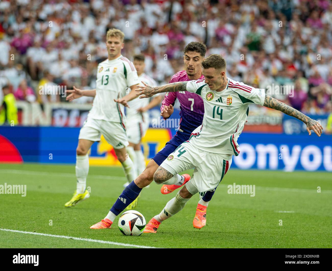 Andras Schaefer (Ungarn, #13), Bendeguz Bolla (Ungarn, #14), Kai ...