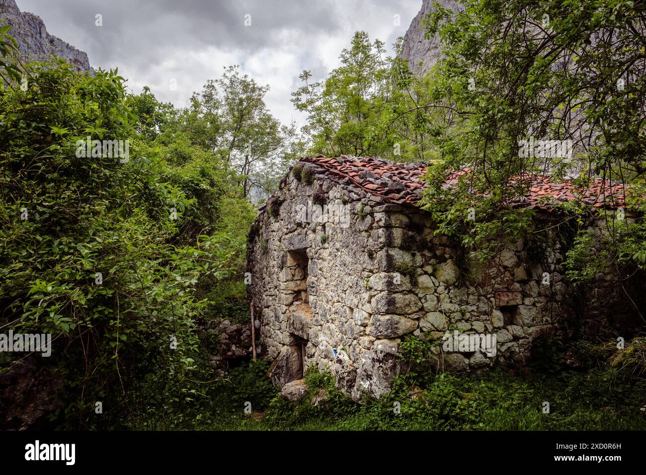 Old stone cottage with a red-tiled roof nestled in a dense, green ...