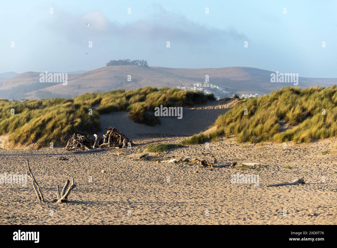 Early evening scene from Morro Rock Beach. Morro Bay, California Stock ...