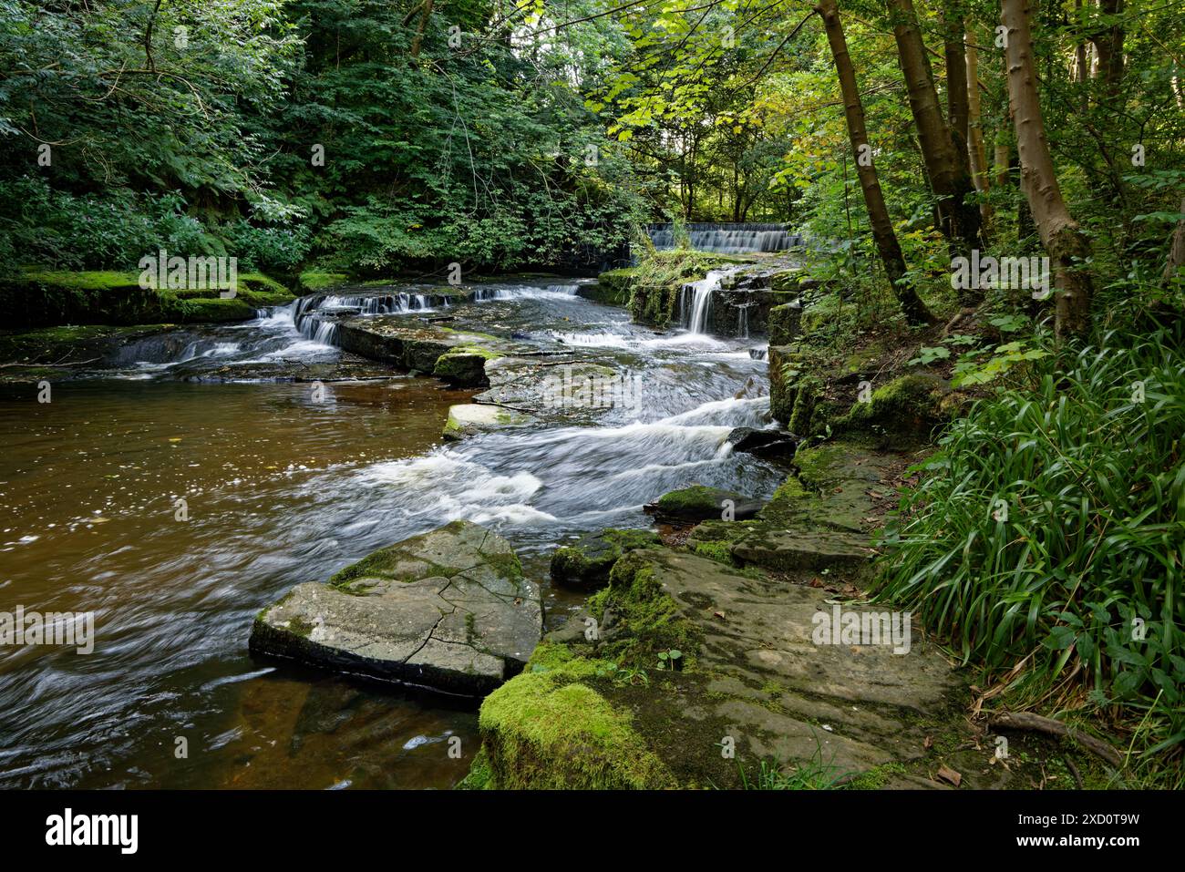 Summer cascade on the River Ogden Stock Photo - Alamy