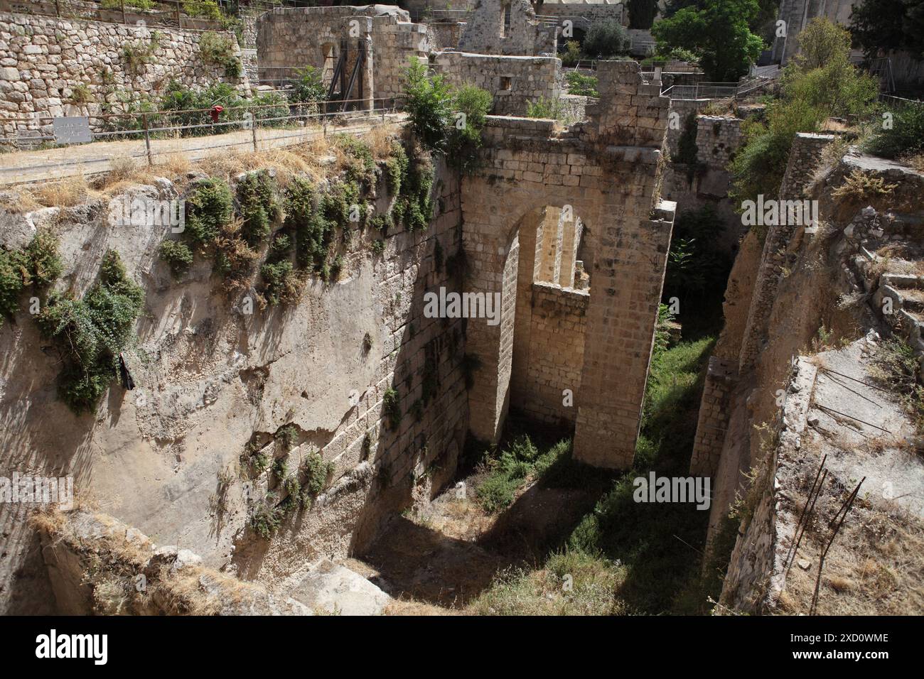 Left plastered wall of the Bethesda Pool with Hyssop on it where Jesus ...