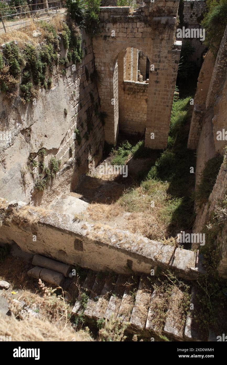 Left plastered wall of the Bethesda Pool with Hyssop on it where Jesus ...