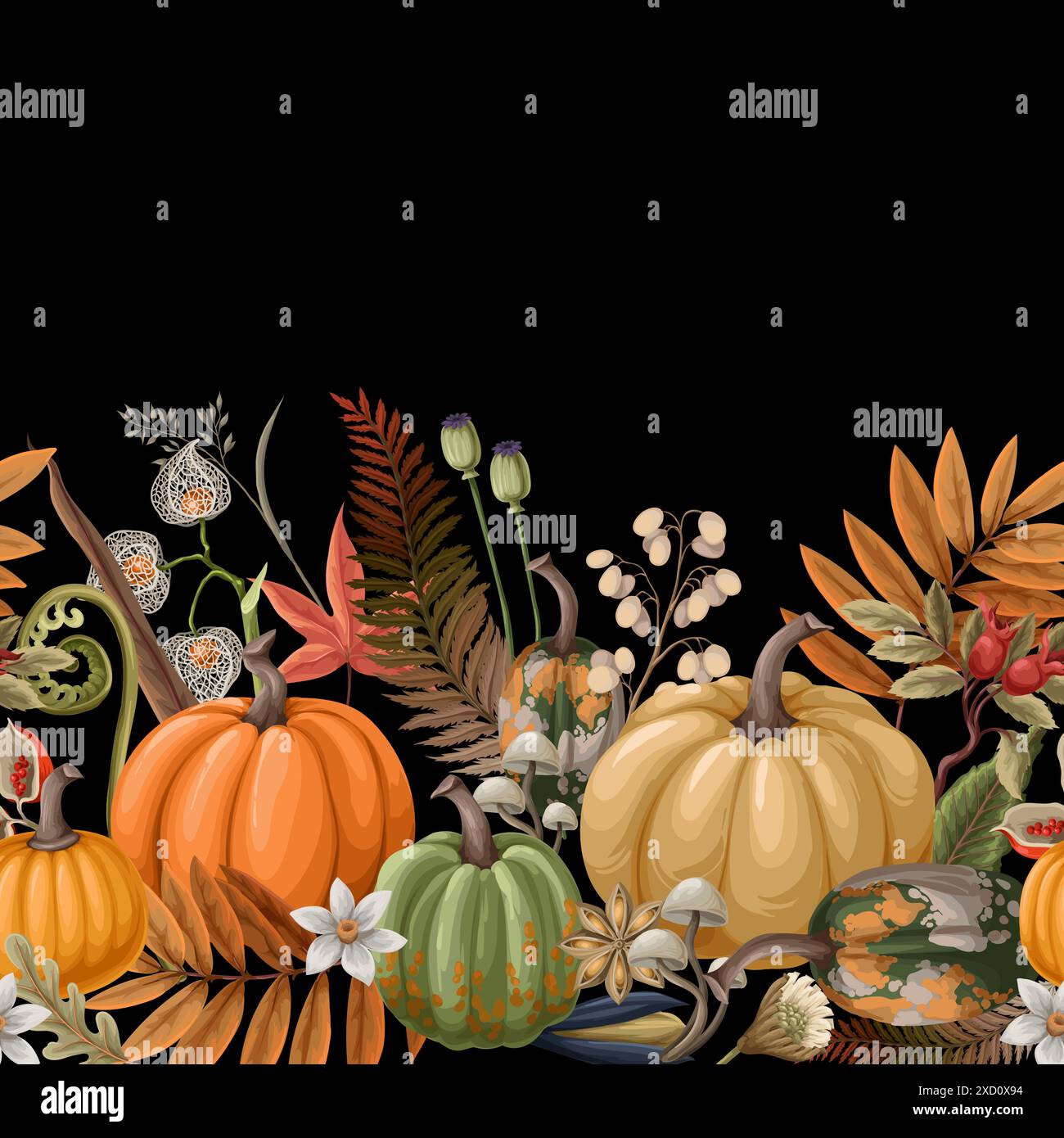 Border with pumpkins and autumn elements. Vector Stock Vector Image ...