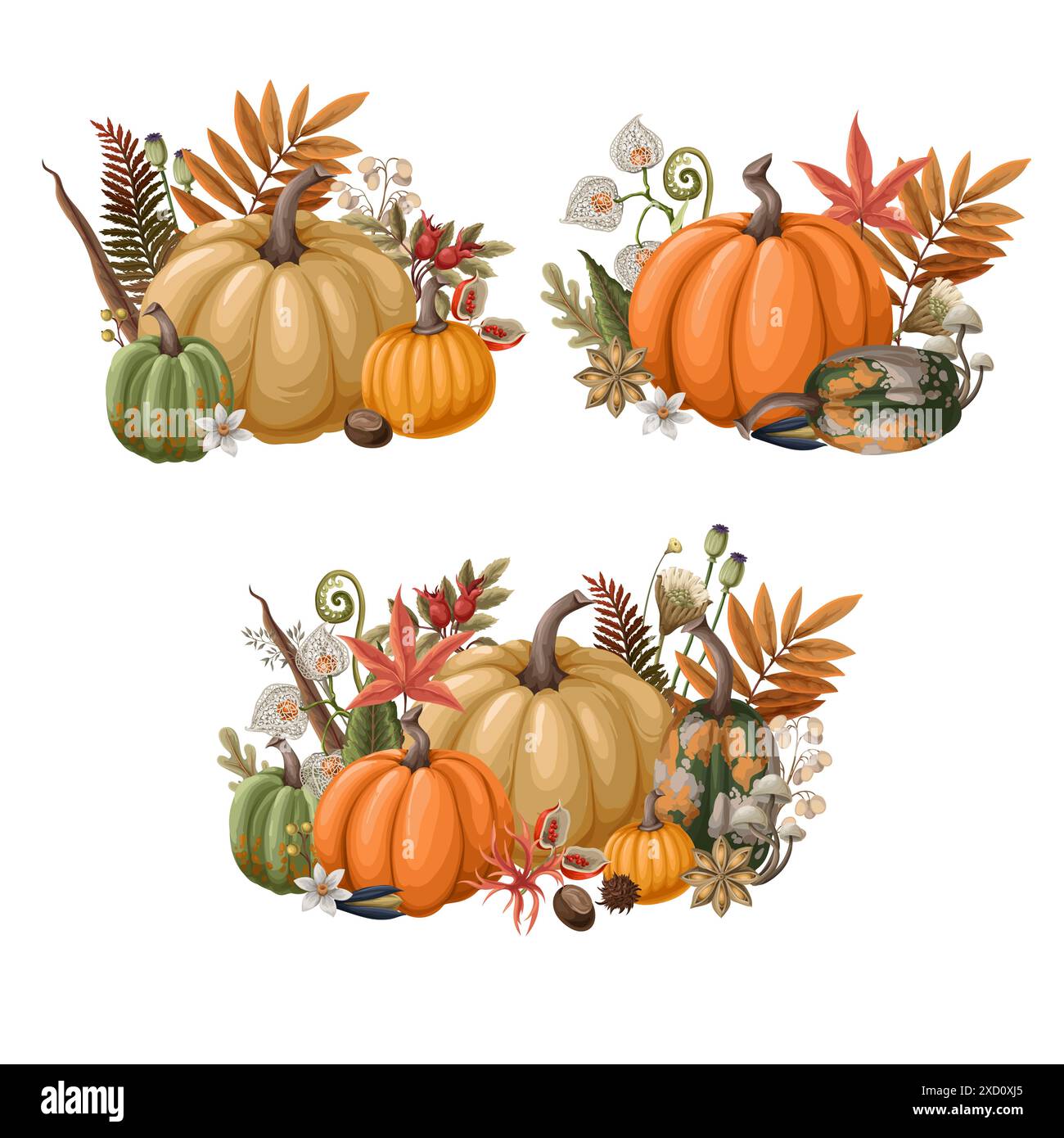 Pumpkins and autumn elements isolated. Vector Stock Vector Image & Art ...