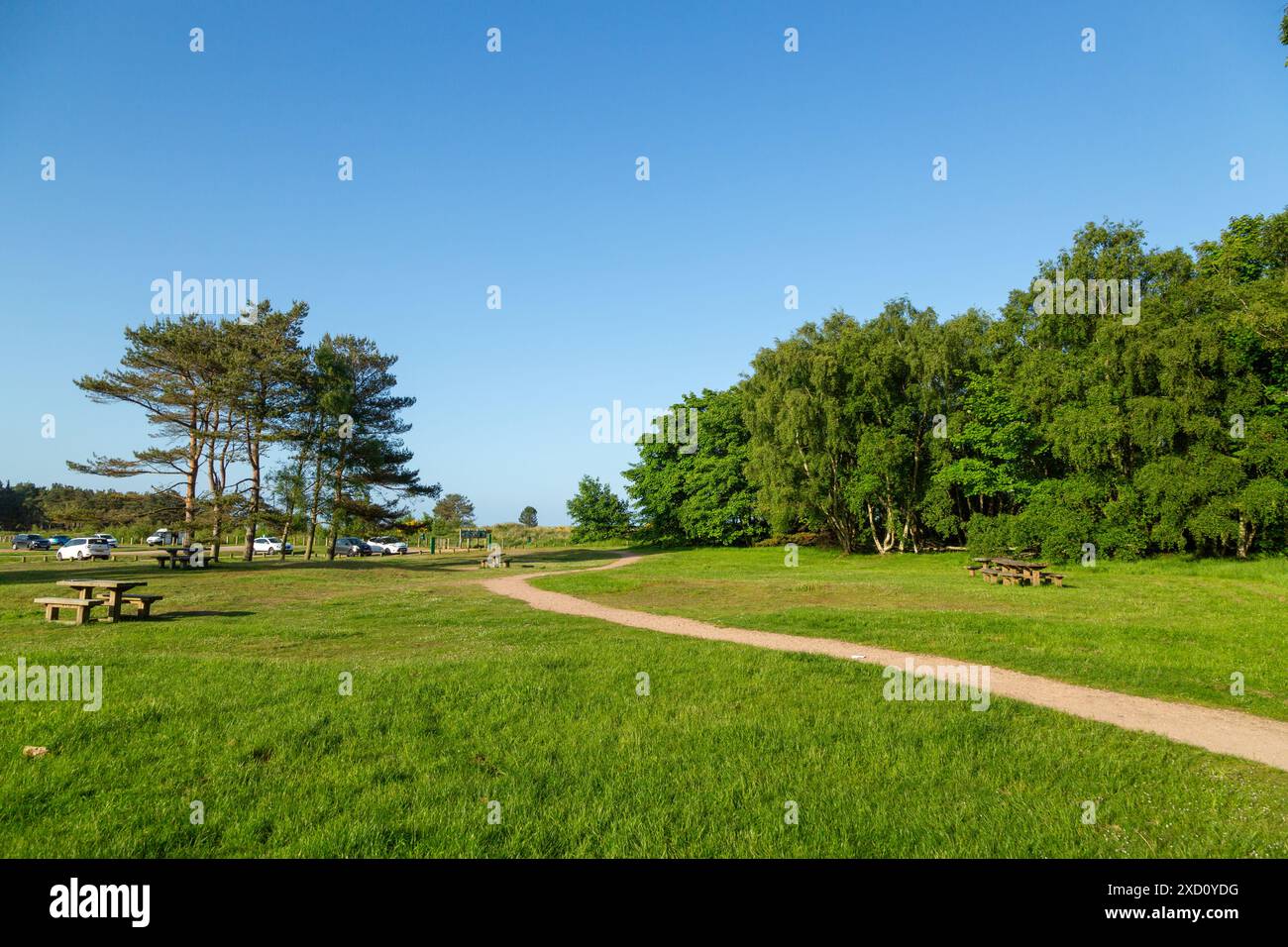 Tentsmuir Park Fife, Scotland Stock Photo - Alamy