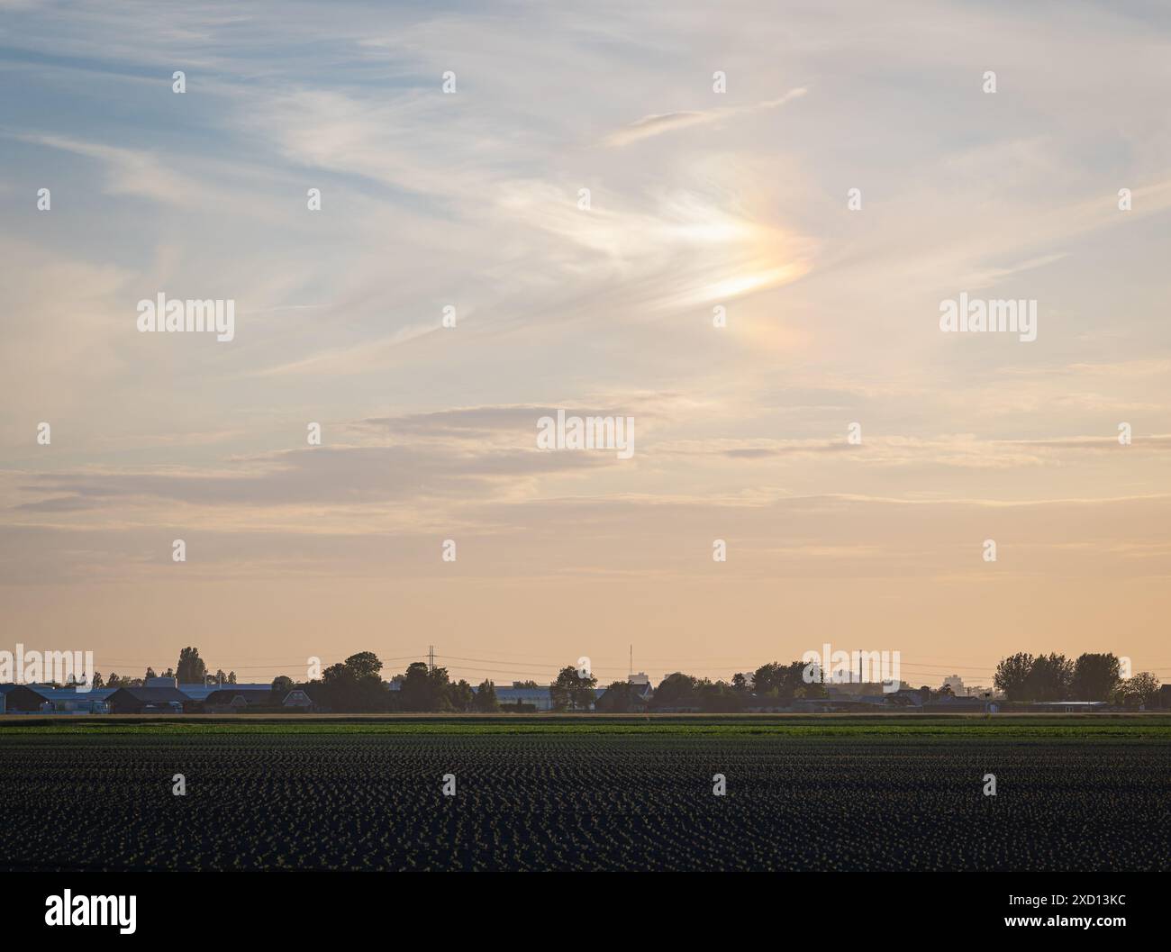 Bright mock sun (parhelium) over an agricultural landscape in the last ...