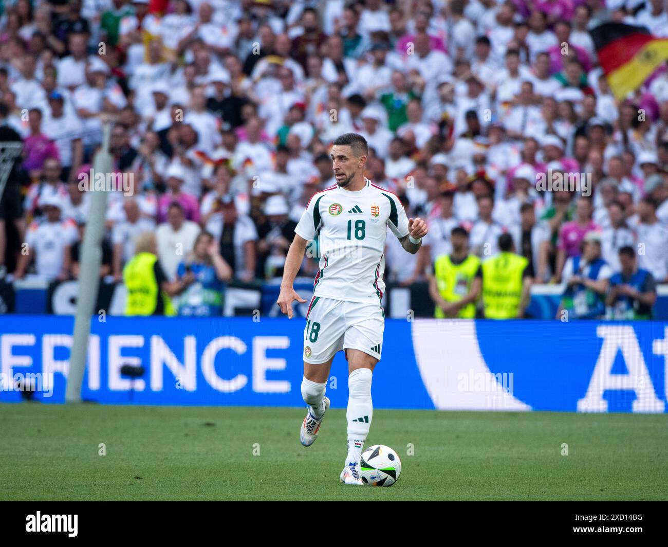 Zsolt Nagy (Ungarn, #18) am Ball, GER, Germany (GER) vs. Ungarn (HUN ...