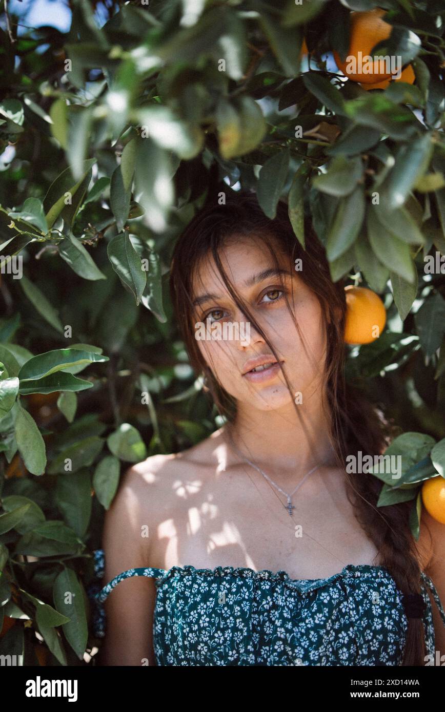 A woman standing in an orange grove, surrounded by lush greenery and ...