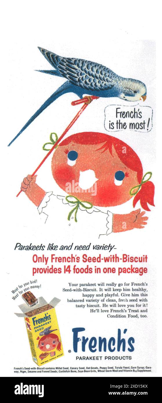 American parakeet hi-res stock photography and images - Alamy