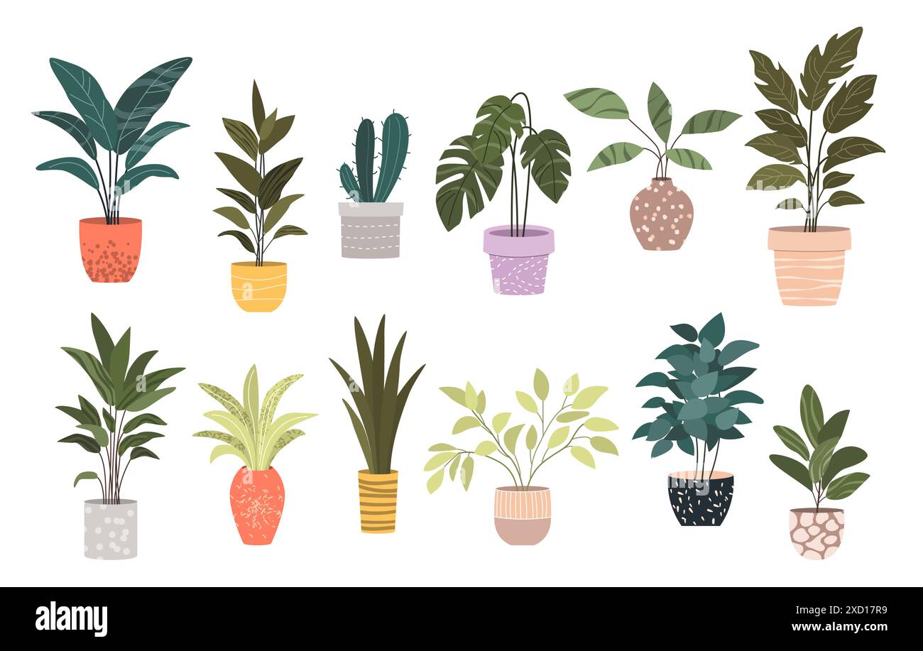 Hand drawn illustration plants room Stock Vector Images - Alamy