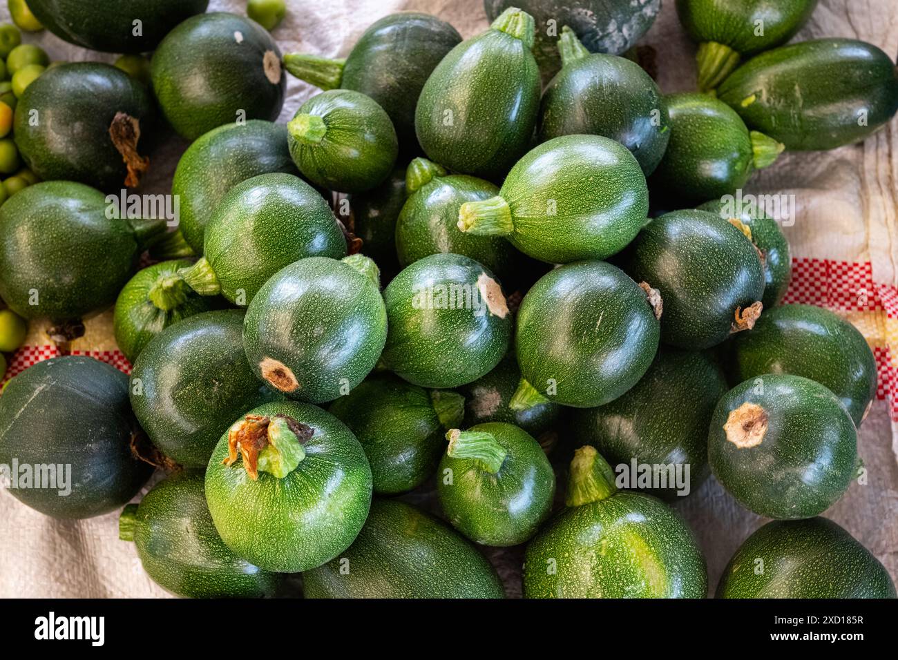 Round dark-coloured fresh zucchini sold at the farmers' market. Dark ...
