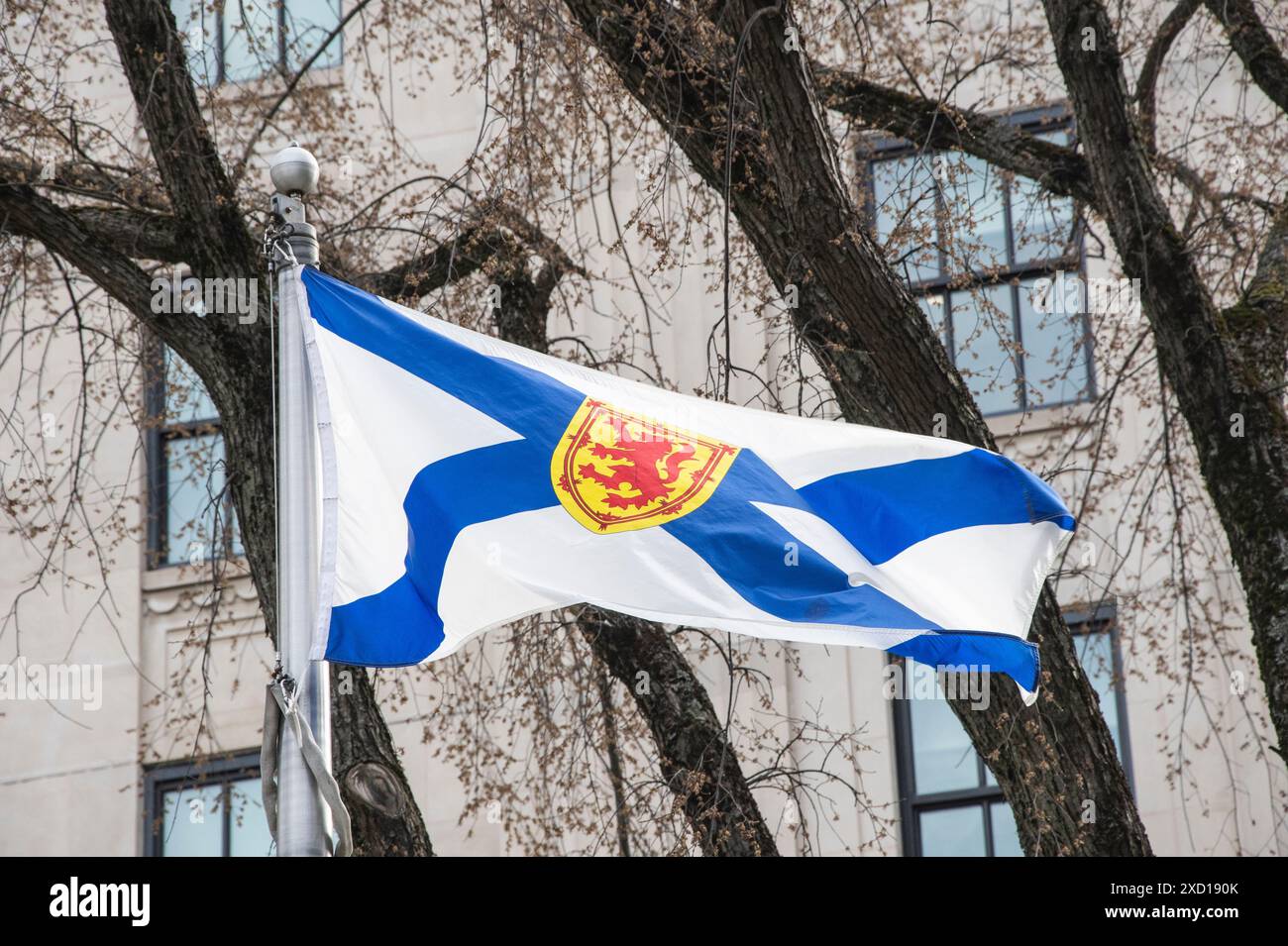 Provincial flag flying in downtown Halifax, Nova Scotia, Canada Stock ...