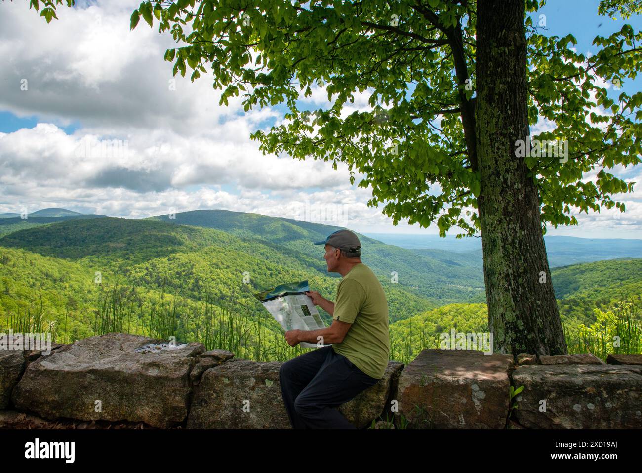 Single adult male at an overlook along the Blue Ridge Parkway looking ...