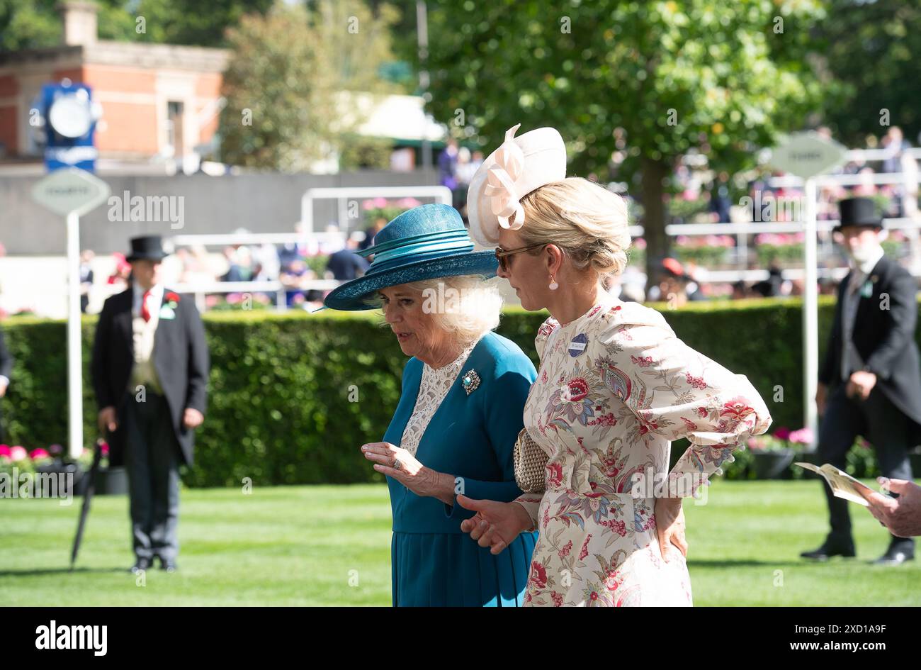 Ascot, Berkshire, UK. 19th June, 2024. The Queen chats to Zara Tindall ...