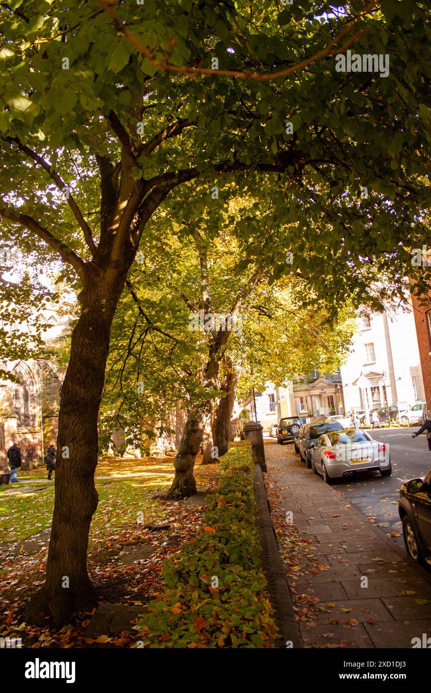 St Mary's Place, Shrewsbury, Shropshire, UK Stock Photo - Alamy