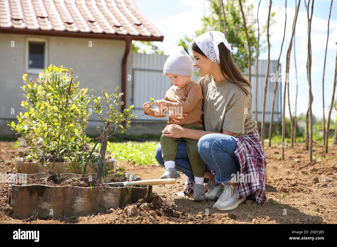Mother and her son planting tree together in garden Stock Photo - Alamy