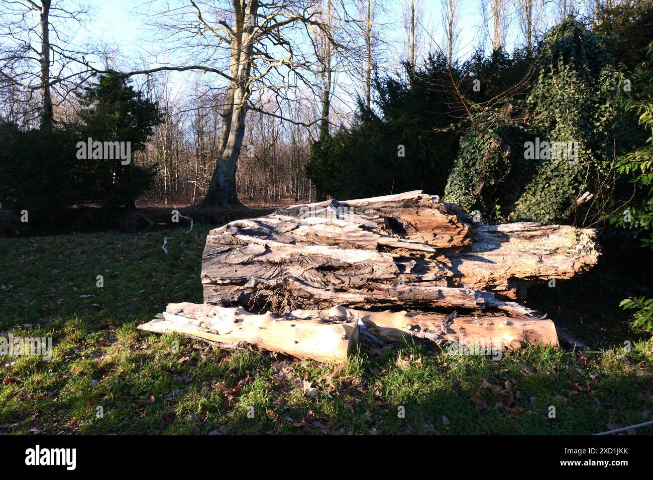 Countryside fields outside woods wood tree trees designed design large ...