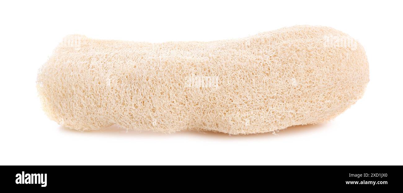 Loofah sponge isolated on white. Personal hygiene product Stock Photo ...
