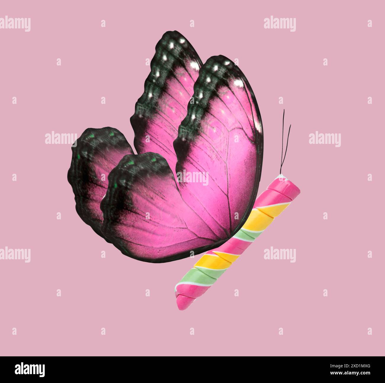 Sweet candy with butterfly wings on dusty pink background, creative ...