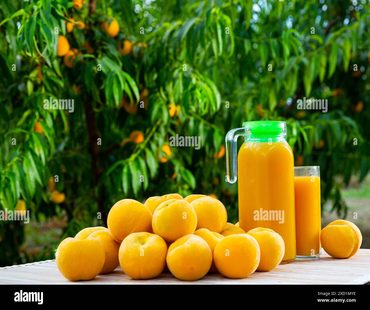 Fresh yellow peaches and juice under green tree Stock Photo - Alamy